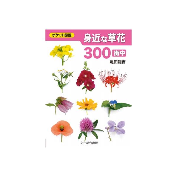 発売日:2019年04月 / ジャンル:物理・科学・医学 / フォーマット:図鑑 / 出版社:文一総合出版 / 発売国:日本 / ISBN:9784829983089 / アーティストキーワード:亀田龍吉 内容詳細:本書では、街中に生える草...
