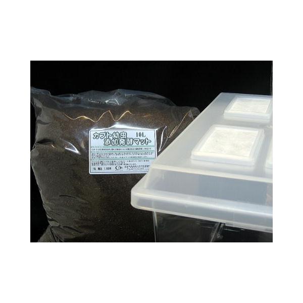 カブト幼虫飼育セット　大型種用