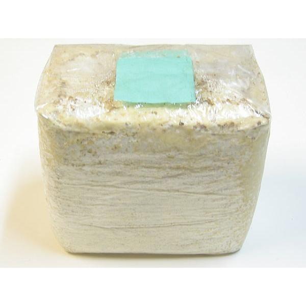 カワラ菌糸ブロック 4000(菌糸ビン)作り