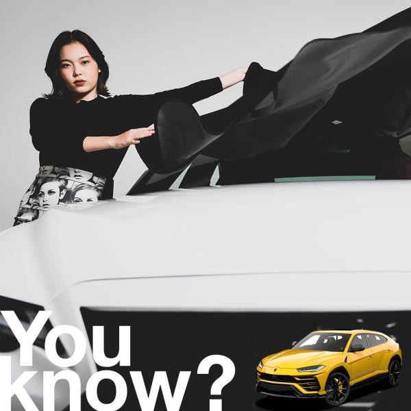 【商品内容】「NEROCORSA ネロコルサ」 1枚【素材】生地ポリエステル / 特殊ポリウレタンフィルム / バリアフリース / ウルトラ撥水加工【デメリット表記】本製品は、簡易シェード、消耗品となります。中(半年)、長期(一年以上)の耐...