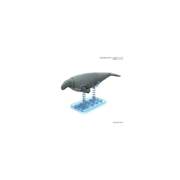【発売日：2026年09月30日】バンダイスピリッツ 08 プラノサウルス ガチコセイブツ部 ステラーカイギュウ 色分け済みプラモデル『プラノサウルス ガチコセイブツ部』より、ステラーカイギュウが登場！■1768年に絶滅したとされる、寒冷地...
