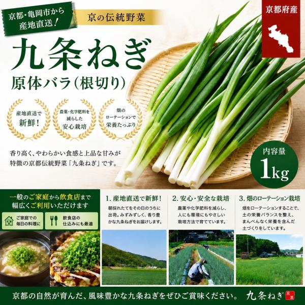 名称：九条ねぎ（原体バラ・根切り）内容量：1kg産地：京都府保存方法：冷蔵保存配送方法：クール便（冷蔵）用途：家庭用・業務用