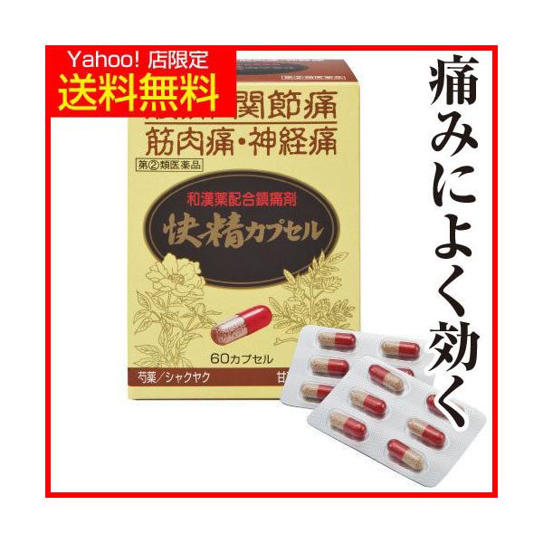 漢方の主役「芍薬」と「甘草」配合の痛み止め痛みにすぐよく効くのに胃に優しい痛み止めです。【効能・効果】●腰痛、関節痛、筋肉痛、肩こり痛、神経痛、打撲痛、骨折痛、捻挫痛、頭痛、歯痛、抜歯後の疼痛、咽頭痛、耳痛、月経痛（生理痛）、外傷痛の鎮痛●...