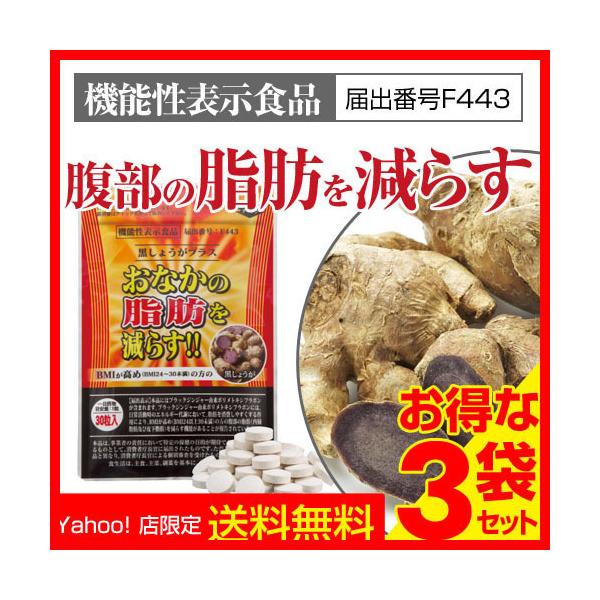 【Yahoo!店 限定で特別に送料無料！】去年のズボンがきつくなった、健康のBMI値が気になる、最近体が重く感じる、あまり運動する機会がない方にオススメ！■スーパーフードブラックジンジャータイで1000年以上もの間、有用植物として親しまれて...