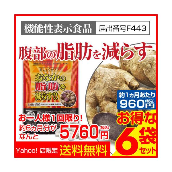【Yahoo!店 限定で特別に送料無料！】去年のズボンがきつくなった、健康のBMI値が気になる、最近体が重く感じる、あまり運動する機会がない方に！■スーパーフードブラックジンジャータイで1000年以上もの間、有用植物として親しまれ、黒ショウ...