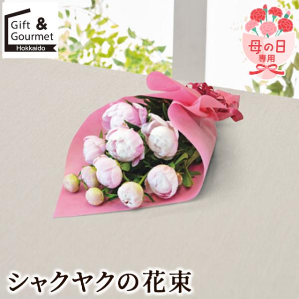 【発売日：2026年05月06日】開花した時の華やかな花姿が美しいシャクヤクの花束です。母の日 2026 母の日ギフト ははのひ 母の日プレゼント ギフト プレゼント 贈り物 お花 花 フラワー フラワーギフト 花ギフト フラワープレゼント...