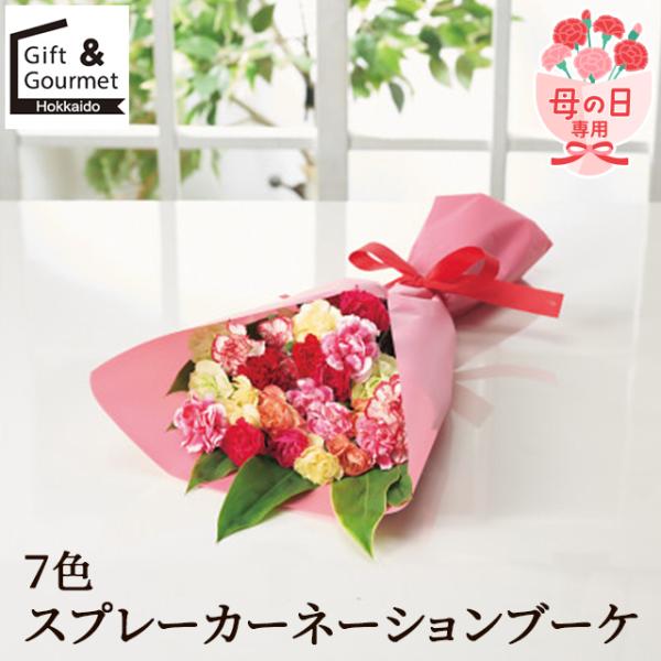 【発売日：2026年05月06日】カラフルなスプレー咲きカーネーションのブーケ。母の日 2026 母の日ギフト ははのひ 母の日プレゼント ギフト プレゼント 贈り物 お花 花 フラワー フラワーギフト 花ギフト フラワープレゼント  花束...