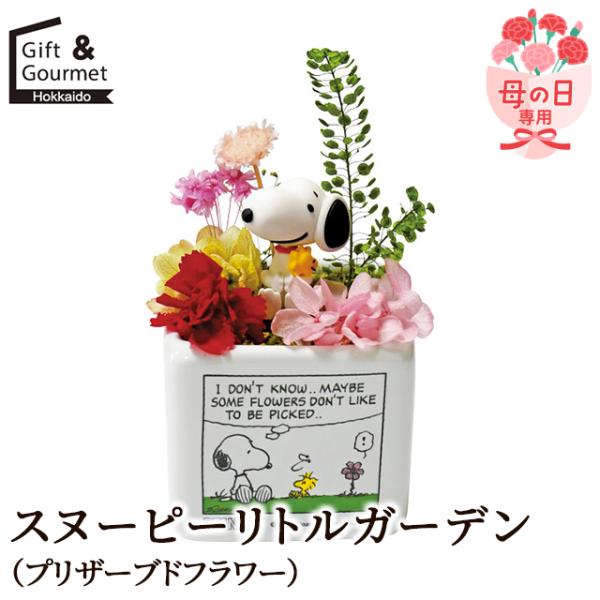【発売日：2026年05月06日】小さなお庭をイメージしてアレンジしたカラフルなお花やグリーンに囲まれたスヌーピーが可愛いデザインです。お祝い事やお礼など様々なシーンにお使いいただけます。母の日 2026 母の日ギフト ははのひ 母の日プレ...