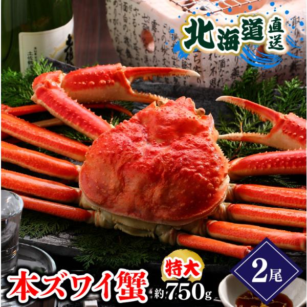 鮮度抜群の【ロシア産】ズワイガニです。身入り、ミソ入りともに厳選してお届け致しますので極上のズワイガニが味わえます。国産の松葉蟹や越前蟹よりとってもお得に食べられます♪残暑見舞い 人気 おすすめ おしゃれ 有名 有名な かに カニ カニセッ...