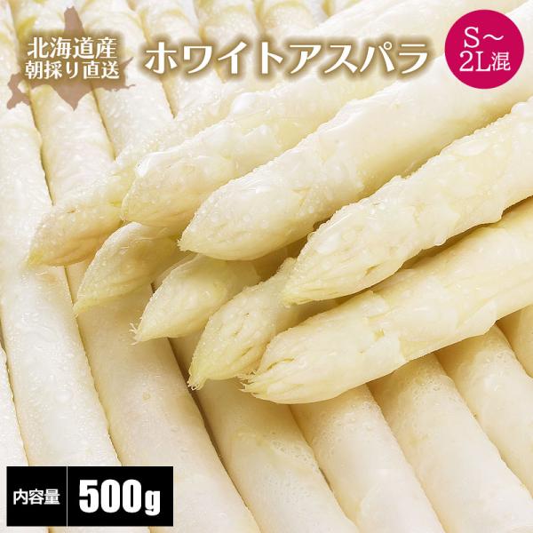 【発売日：2026年02月24日】北海道のアスパラガスは５〜６月が一番美味しい時期。採れたて旬のものは、大変甘〜く、柔らかく、みずみずしく抜群の美味しさを誇っております♪芽が伸びる前に盛り土をして白く軟化させたものが「ホワイトアスパラガス」...