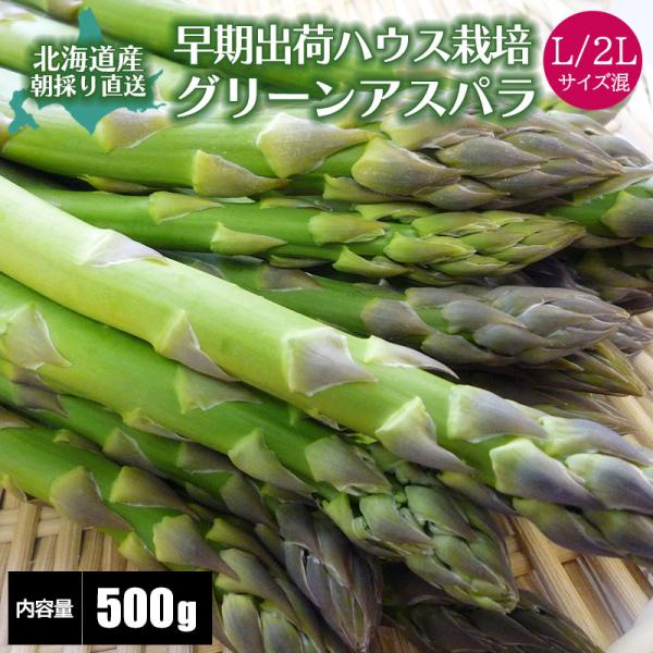 【発売日：2026年02月24日】アスパラガスの中でもハウスの中で大切に育てられたものを厳選。採れたて旬のものは、大変甘〜く、柔らかく、みずみずしく抜群の美味しさを誇っております♪北海道マルシェのアスパラガスは口に残る苦さが少なく、何とも言...