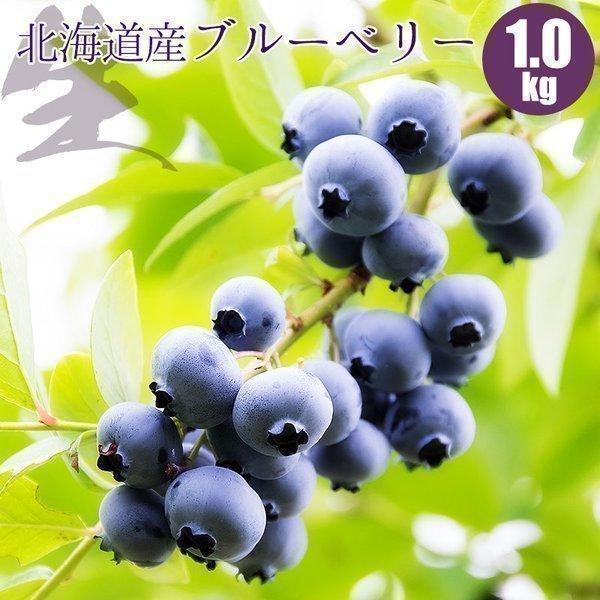 【発売日：2020年06月10日】小さな粒の中に甘酸っぱさが詰まったブルーベリーは眼の健康維持や老化予防、がん予防などに効くのではないかとも言われ、栄養面でも注目されています。雄大な自然の中で育ったフルーツは、全体的に緻密な肉質で香りもよく...