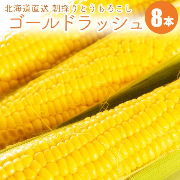 【発売日：2019年08月26日】【北海道 産地直送】朝もぎとうもろこし「ゴールドラッシュ」■内容：朝もぎとうもろこし「ゴールドラッシュ」２Ｌサイズ・・・8本　８月下旬頃より発送予定■産地：北海道■配送方法：冷蔵配送 ■送料：送料無料（沖縄...