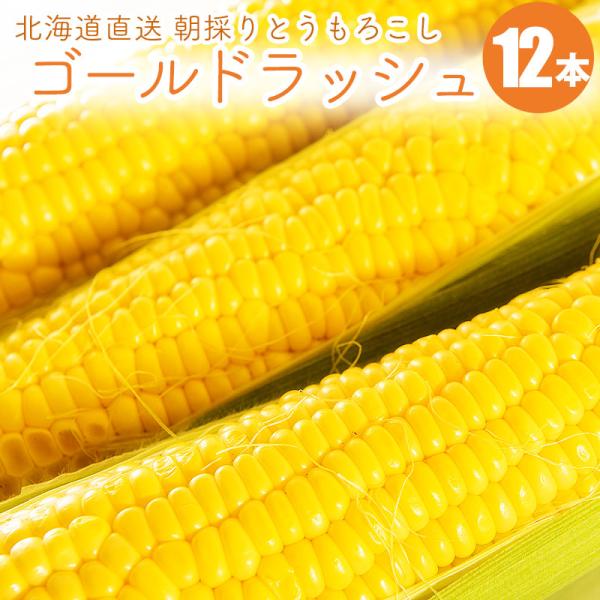 【発売日：2019年08月26日】【北海道 産地直送】朝もぎとうもろこし「ゴールドラッシュ」■内容：朝もぎとうもろこし「ゴールドラッシュ」２Ｌサイズ・・・12本　８月下旬頃より発送予定■産地：北海道■配送方法：冷蔵配送 ■送料：送料無料（沖...