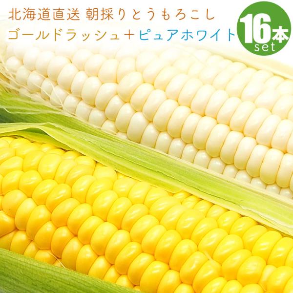 【発売日：2026年06月15日】＜とうもろこし食べ比べセット「ピュアホワイトとゴールドラッシュ」＞■内容：ピュアホワイト8本/ゴールドラッシュ8本■配送方法：冷蔵配送 ■送料：送料無料（沖縄・離島は1,080円加算）■商品説明：【ピュアホ...