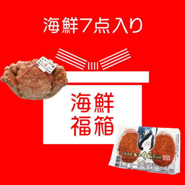 ＜＜ 海鮮福箱７点セット >>■内容・規格■◎毛ガニ姿　300g前後 × １尾◎いくら醤油味 100g他5商品が何か入る■商品説明■海産物が好きな人にオススメの福箱です。全部で7商品が入ります！毛ガニは300gと小ぶりながらも身...