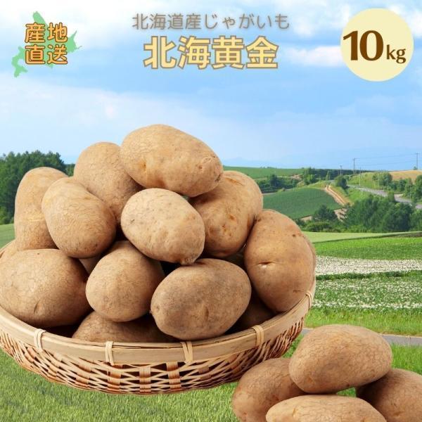 【発売日：2019年10月01日】＜北海道産じゃがいも（北海黄金 10kg）＞■内容・規格：北海黄金（10kg）・・・●規格：正規品　LM/L/2L混合■産地：美瑛・富良野■配送方法：常温配送■送料：送料無料　※沖縄・離島1,080円■商品...