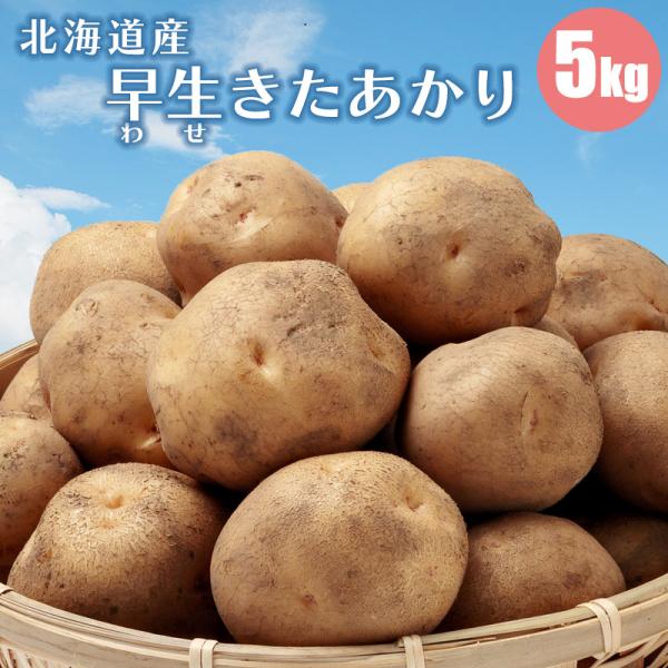 中身は黄色で「栗じゃがいも」と呼ばれるほど甘くホクホクし風味食味とも絶品です。キタアカリは煮上がりが早く、粉ふきいも、ベークドポテト、サラダに最適！またアルカリ食品で、ビタミンＣ、カロテン価は男爵よりも高いとってもヘルシーなじゃがいもです。...