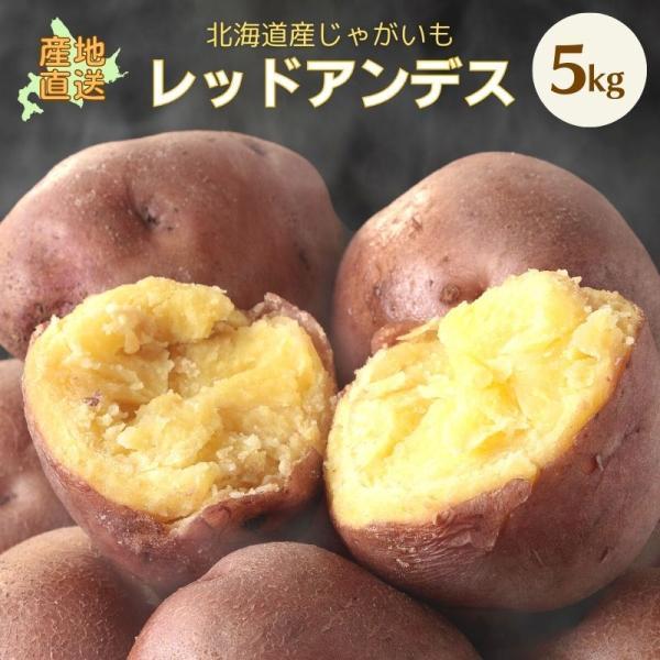 【発売日：2019年10月01日】＜北海道産じゃがいも（レッドアンデス 5kg）＞■内容・規格：レッドアンデス（5kg）・・・●規格：正規品　LM/L/2L混合■産地：レッドアンデス／美瑛・富良野■配送方法：常温配送■送料：送料無料　※沖縄...