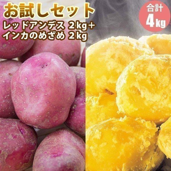 【発売日：2019年12月31日】＜北海道産じゃがいも　お試しセット＞■内容・規格：インカのめざめ（2kg）●規格：正規品　S/M/LM/L/2L混合レッドアンデス（2kg）●規格：LM/L/2L混合（正規品）■産地：じゃがいも／美瑛・富良...