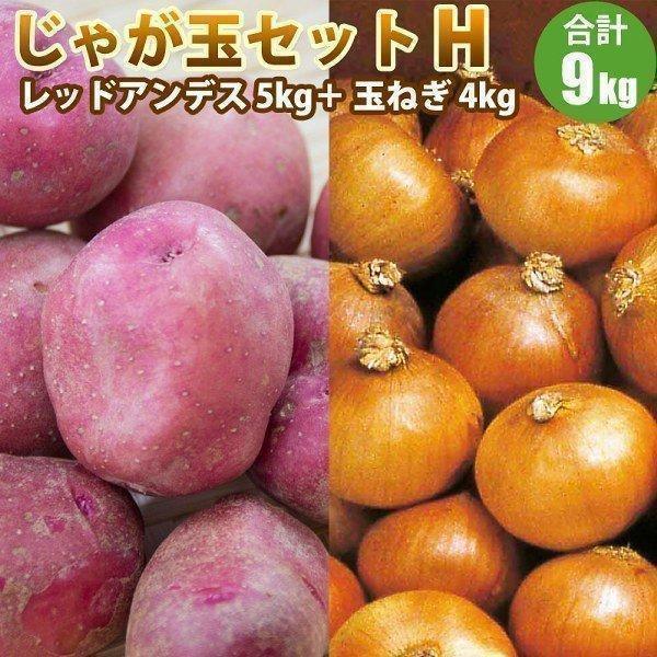 【発売日：2019年10月01日】＜北海道産じゃがいも・玉ねぎ　じゃが玉セットH＞■内容・規格：レッドアンデス（5kg）…●規格：正規品　LM/L/2L混合玉ねぎ（4kg）…●規格：正規品　Ｌサイズ■産地：じゃがいも／美瑛・富良野玉ねぎ／北...