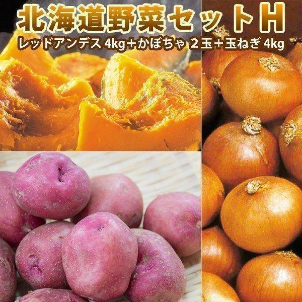 【発売日：2019年10月01日】＜北海道産じゃがいも・かぼちゃ・玉ねぎの北海道野菜セットH＞■内容・規格：【レッドアンデス】正規品 LM/L/2L混合　4kg【栗味かぼちゃ】正規品 1.3kg以上　2玉【玉ねぎ】正規品 Ｌサイズ　4kg■...