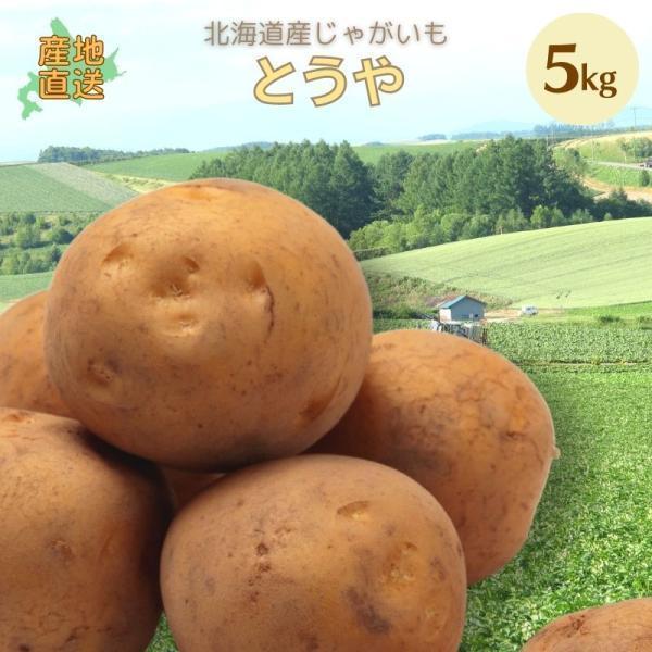 ＜北海道産じゃがいも（とうや 5kg）＞■内容・規格：とうや（5kg）・・・●規格：正規品　LM/L/2L混合じゃがいも通販の美味しいじゃがいもとうや■産地：とうや／美瑛・富良野■配送方法：常温配送■送料：送料無料　※沖縄・離島1,080円...