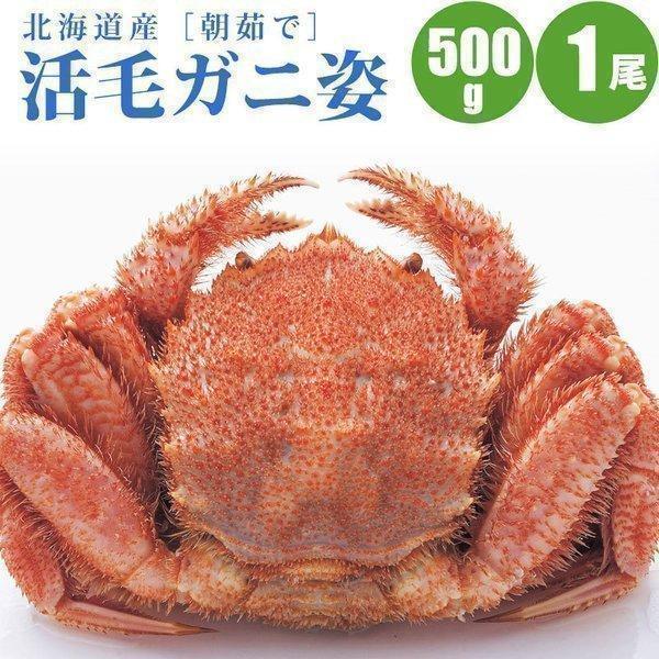 活毛ガニを食べるなら、春に水揚げされるオホーツク海産毛ガニです。北海道のどこででも毛ガニはとれますが、オホーツク海に面した枝幸、雄武、紋別はとくに毛ガニの名産地として知られています。活毛ガニがおいしいのは、育った環境にもよります。自然豊かな...