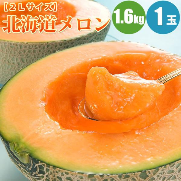 ＜北海道メロン 1.6kg (2Lサイズ)×１玉＞■内容・規格：北海道メロン・・・1.6kg×1玉メロンの果肉は赤肉　７月上旬に発送予定。■産地：北海道産(美瑛、富良野、中富良野、その他北海道各産地)■配送方法：常温配送■送料：送料無料（沖...