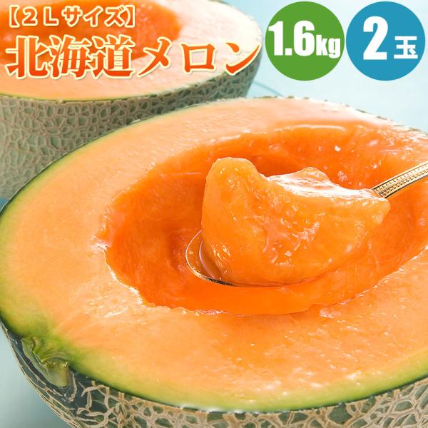 ＜北海道メロン 1.6kg (2Lサイズ)×２玉＞■内容・規格：北海道メロン・・・1.6kg×2玉メロンの果肉は赤肉　７月上旬に発送予定。■産地：北海道産(美瑛、富良野、中富良野、その他北海道各産地)■配送方法：常温配送■送料：送料無料（沖...