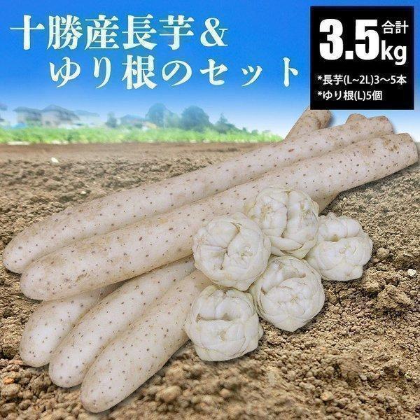 ＜十勝産長芋＆ゆり根のセット＞■内容・規格：◎北海道産長芋(L~2L)　3〜5本◎ゆり根(L)　5個   計　3.5kg■配送方法：常温配送■送料：送料無料（沖縄・離島は1,080円加算）■産地：北海道産（十勝）■保存方法：◎長芋：冷暗所又...