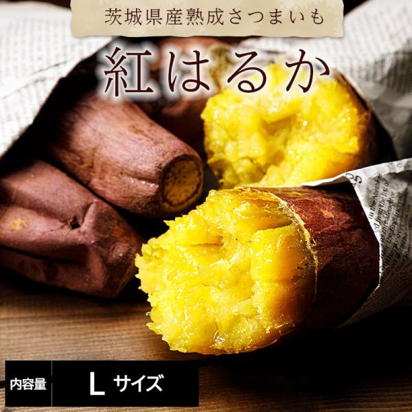 ＜茨城県旭村産「紅はるか」5kg Ｌサイズ＞「さつまいも」を超えた、もはや「天然のスイーツ」紅はるかの最大の特徴は、既存の品種をはるかに凌ぐ「圧倒的な甘み」と「ねっとり感」です。■配送方法：常温配送■送料：送料無料（沖縄・離島は1,080円...