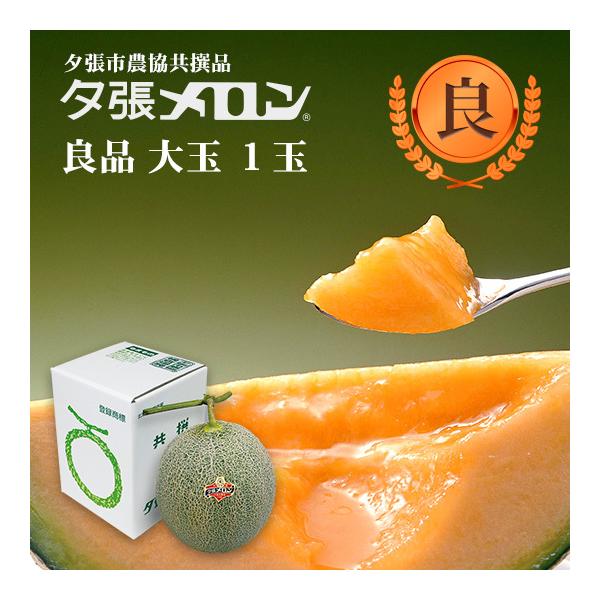 【発売日：2026年06月10日】【６月１０日〜８月上旬までのお届け】■商品内容：夕張メロン 夕張市農協共撰品 良品大玉(約1.6kg) 1玉　/　赤肉メロン■賞味期限：2・3日■保存方法：要冷蔵■発送温度帯：常温■同梱可能：夕張メロン以外...