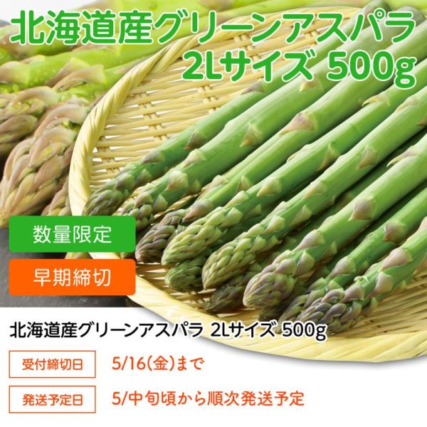 【予約販売】グリーンアスパラ(北海道産) 極太 2Lサイズ 500g (アスパラガス本数の目安 10〜16本) 北海道 アスパラ 2L ギフト 太い アスパラガス 【送料無料】特徴 北海道の春は、昼夜の寒暖差が大きいため、美味しいアスパラが...