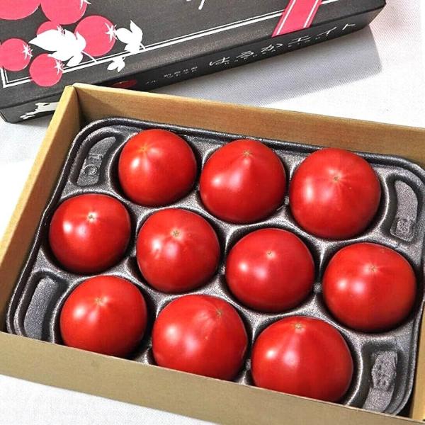 旨味と甘みをギュっと凝縮。コクと深みが際立つフルーツトマト。商品名の通り、光センサーで糖度8度以上のトマトのみを厳選しています。 【フルーツトマト】与える水分量を調整することで、トマト本来の甘みと旨みを引き出して生産されるトマトの総称。一般...