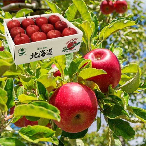 JA余市りんご(北斗)5kg     受付12/3迄・発送12/5〜【数量限定200セット】大玉品種の北斗（ほくと）は甘みの中にすっきりとした適度な酸味があるのが特徴。果肉は緻密で、香りもよく、果汁が多くジューシーなりんごです。【数量限定2...