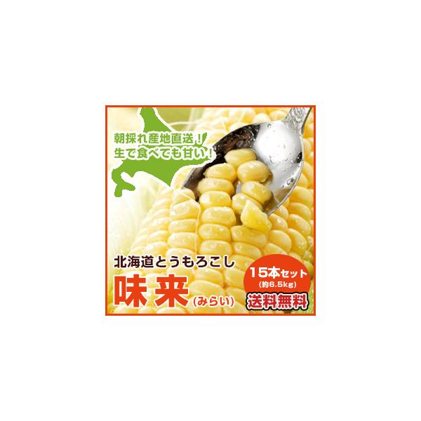 　季節限定トウモロコシ「味来（みらい）」北海道を代表する人気品種！（着日指定不可　7月中旬頃より順次発送開始）　北海道のトウモロコシ　（dk-4）