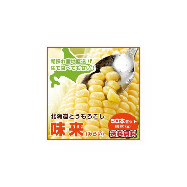 　季節限定トウモロコシ「味来（みらい）」北海道を代表する人気品種！（着日指定不可　7月中旬頃より順次発送開始）　北海道のトウモロコシ　（dk-4）