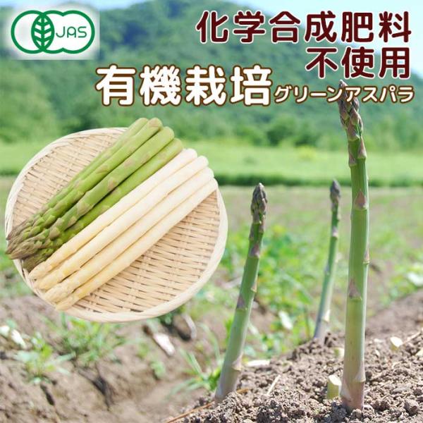 【発売日：2026年05月15日】産地：北海道内容量：有機栽培アスパラ2色セット 2L/L混 700g生産者が自信を持ってお届け。北海道の大地で育った旬のアスパラをご賞味ください。※沖縄県及び離島への発送はお受けできません。●天候により発送...