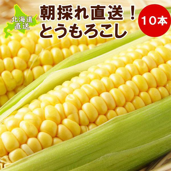 鮮度抜群！甘くてジューシー！産地直送！北海道産とうもろこし（恵味ゴールド）