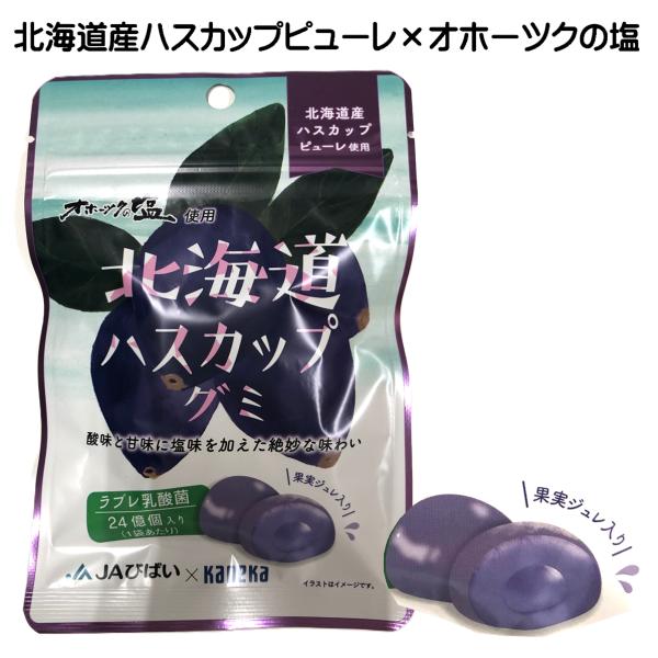 北海道産ハスカップピューレ＆オホーツクの塩使用酸味と甘味に塩味を加えた絶妙な味わいの果実ジュレをグミの中に閉じ込めました。1袋あたりにラブレ乳酸菌24億個入！【賞味期限】製造日より 365日【内容量】40ｇ【原材料名】水あめ(国内製造)、砂...