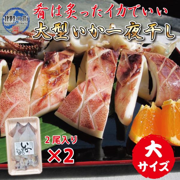 大型のイカを厳選して18℃以下の寒風でじっくり干し上げました。食べ方はやはりマヨネーズ醤油に七味唐辛子がおすすめ　酒が進みますかつては日本中で豊漁が続き安価で庶民の魚だったスルメイカ。今では漁獲高が最盛期の30分の1にまで落ち込んで価格も1...