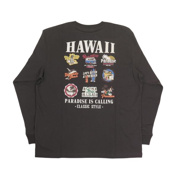 人気のサーフブランド、Hulalani Hawaii(フララニ ハワイ)の2025年 秋冬新作！長袖Tシャツです♪ハワイアンテイストなデザインでアクティブなシーンからカジュアルなシーンまで様々な用途で活躍します！一枚で着ても、重ね着しても使...