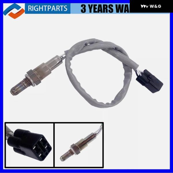 18213-98J30 オキシO2センサー スズキ 船外機 DF150A/DF175A/DF200A/DF250A/DF300A カスタム パーツ アクセサリーHign-concerned Chemical:NoneType:Heating...