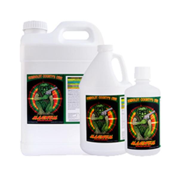 emerald triangle/emeraldtriangle/エメラルドトライアングル