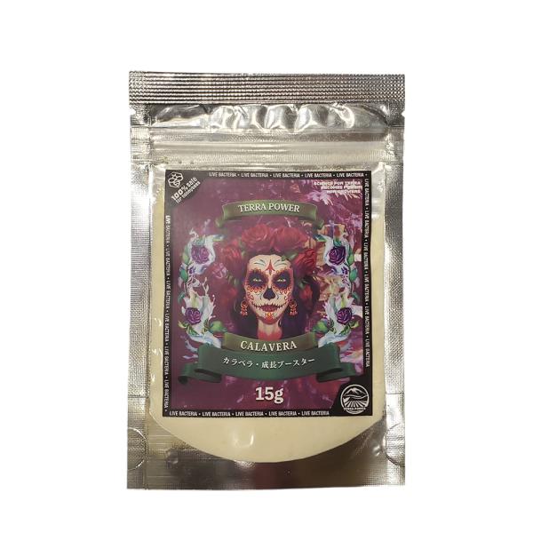 TERRA POWER/テラパワー