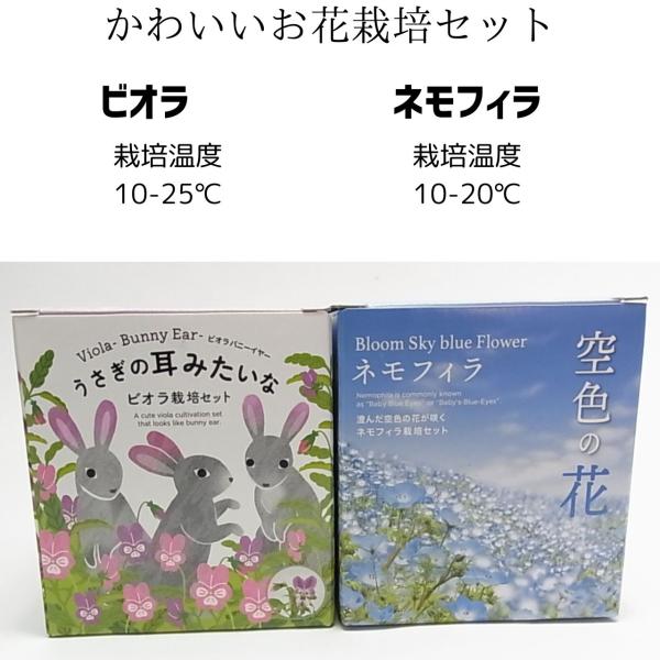 ※発芽保証説明書通りに栽培しても発芽しない場合はhttps://seishin-tougei.com/form_hosyou.phpに必要事項を記載してお問い合わせください。オールインワンの栽培セットです。育てて楽しむ。見て楽しむ。食べて楽...