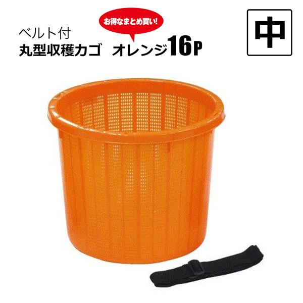 ※HOMEOWNの店舗案内・会社概要・お買い物ガイド・商品説明等を商品購入前に確認ください。
