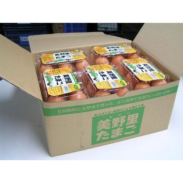 美野里さんたまご健康なにわとりから産まれた健康なたまご殻の硬い、こんもりと黄身が盛り上がった卵を産みました。健康なにわとりはいいたまごを産むってことですね。天然水で育った鶏の産んだたまごです。殻も固く、黄身もモッコリして味にコクがあります。...