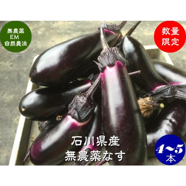 農薬、化学肥料は全く使用しないでＥＭぼかし肥料（ＥＭ菌、米糠、魚粕、油粕を発酵させた発酵肥料）で栽培しています。
